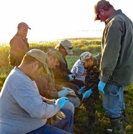 Volunteer – Collins Marsh and Nature Center